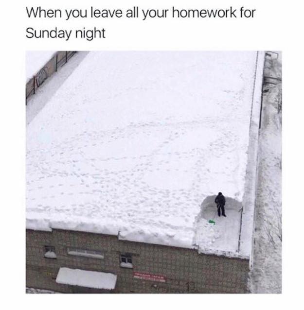 The Princeton Review Ranks* the Top 10 Memes for Chill Teens | The ...